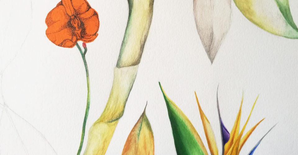 SUR MESURE | Sharon Tulloch Design